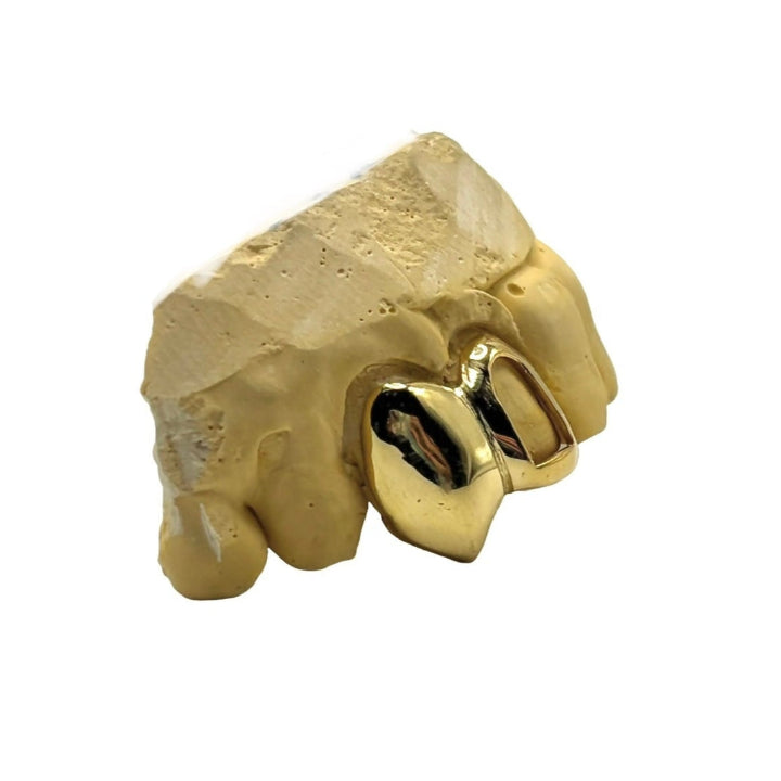 Open Face & Solid Fang Top or Bottom 2pc – Grillz Masters