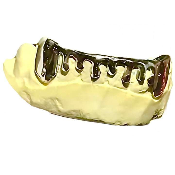 Bottom Drip Grillz 6pc – Grillz Masters